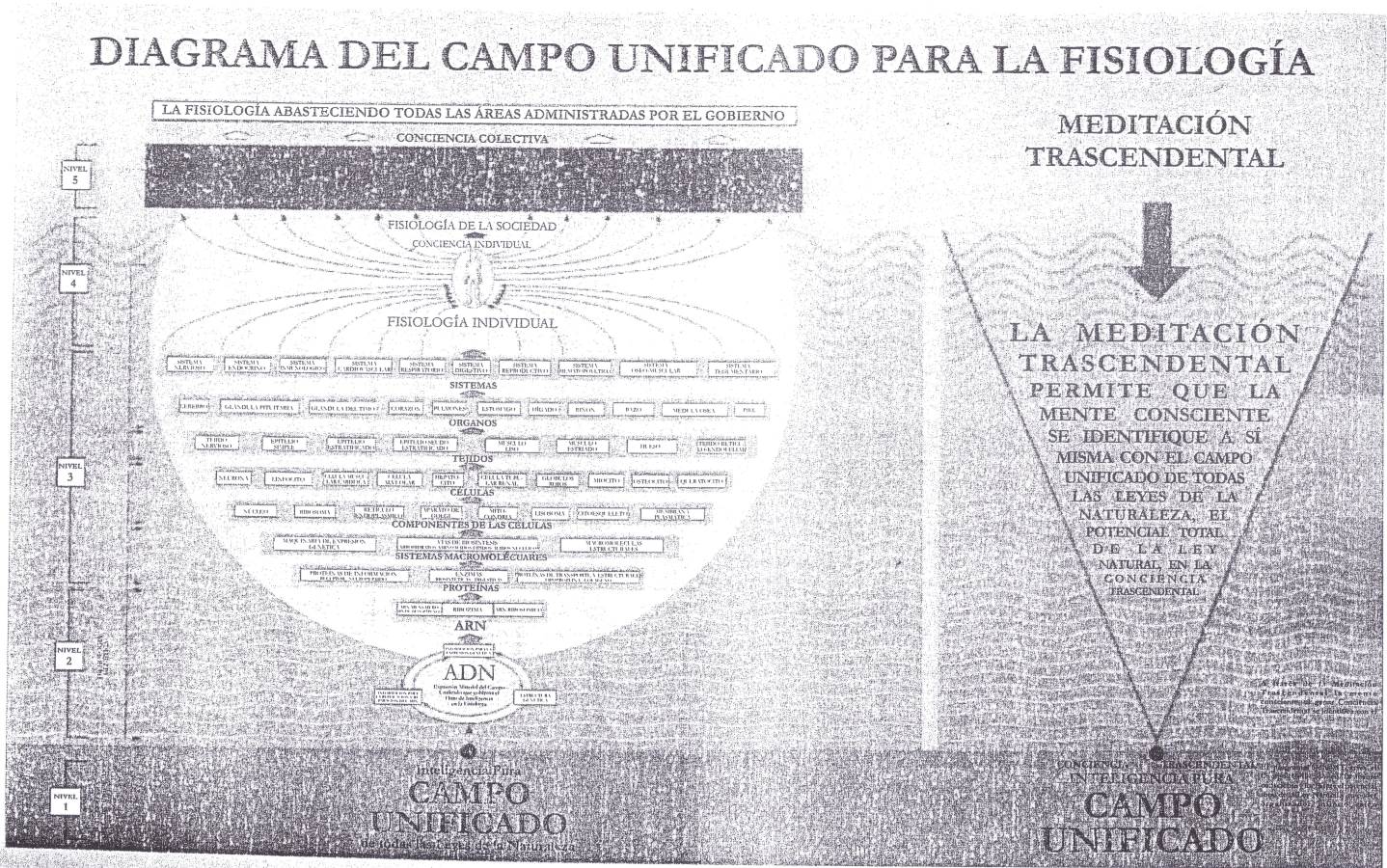 Tecnología de la Consciencia – El Campo Unificado – Pueblo Consciente